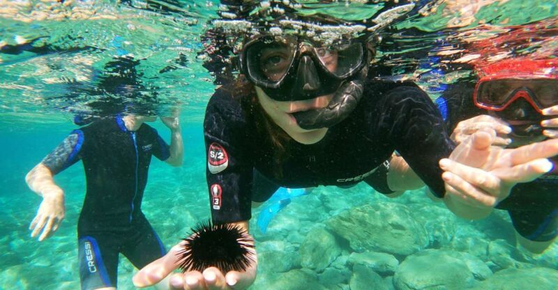 Heraklion: Beginner-Friendly Snorkeling Trip - The Itinerary in Detail