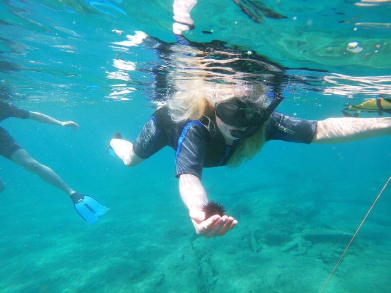 Heraklion: Beginner-Friendly Snorkeling Trip - FAQ