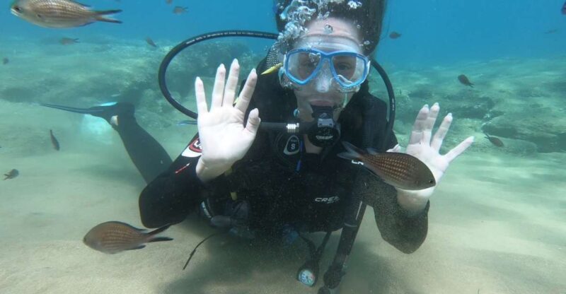 Heraklion: Beginner Scuba Diving Lesson with PADI Instructor - What This Tour Is All About