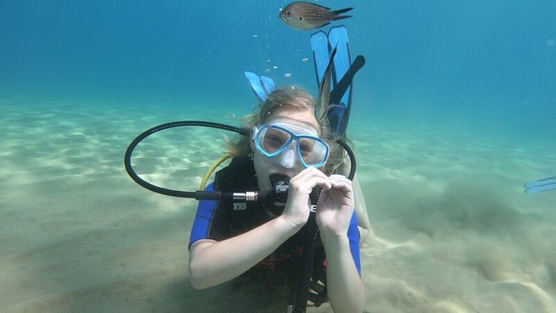 Heraklion: Beginner Scuba Diving Lesson with PADI Instructor - Transportation and Logistics