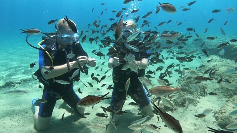 Heraklion: Beginner Scuba Diving Lesson with PADI Instructor - Why This Tour Is Worth It