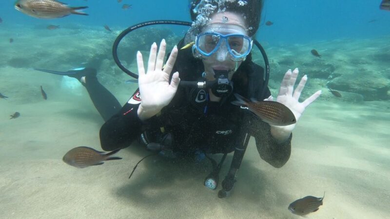 Heraklion: Beginner Scuba Diving Lesson with PADI Instructor - The Sum Up: Who Is This Best For?