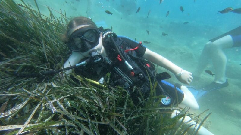 Heraklion: Beginner Scuba Diving Lesson with PADI Instructor - FAQ