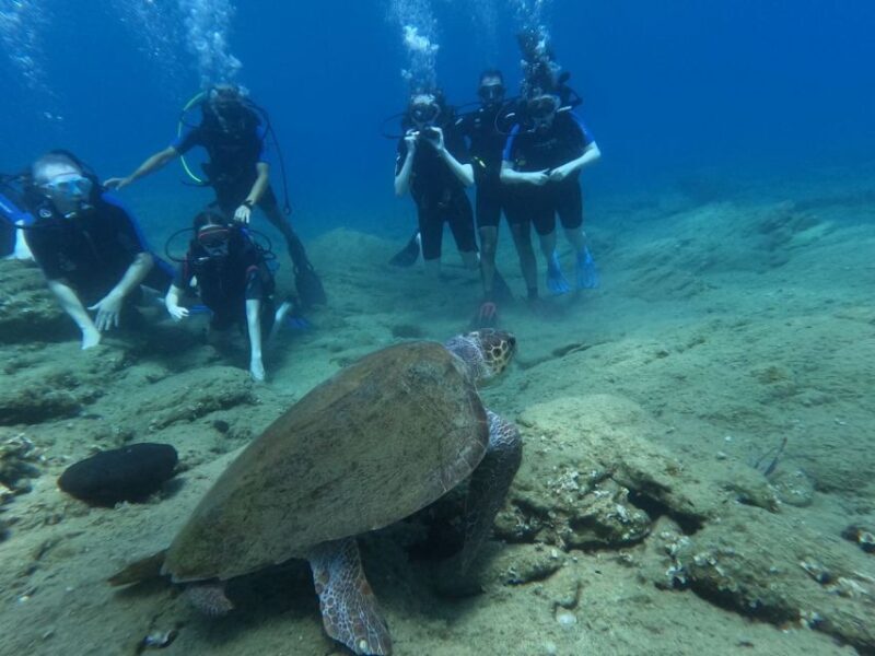 Heraklion: Beginner's intro dive w/2 Dives with transfer. - Key Points