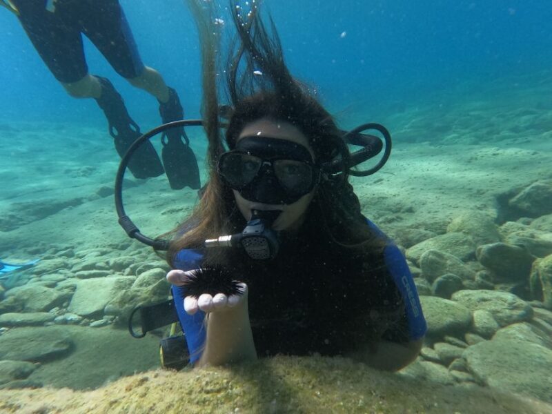Heraklion: Beginner's intro dive w/2 Dives with transfer. - Final Thoughts: Who Will Love This?