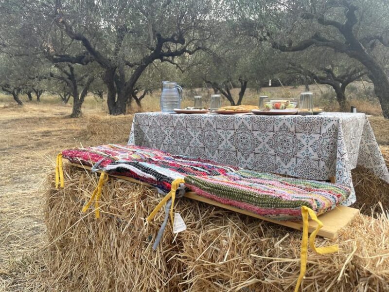 Heraklion: Cretan Farmers Brunch and Olive Grove Tour - A Deep Dive into the Experience