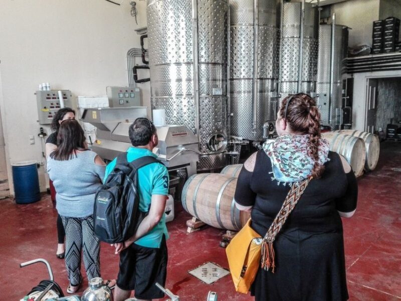 Heraklion: Cretan Wine Tasting Tour & Gourmet Lunch - Overall Value and Experience