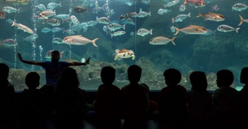 Heraklion: Family Fun Day with Dinosauria and CRETAquarium - Introduction