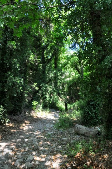 Heraklion: Full Day to Rihti Waterfalls, Mochlos, Azoria - What the Reviews Tell Us