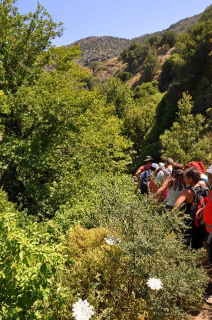 Heraklion: Full Day to Rihti Waterfalls, Mochlos, Azoria - Who Should Consider This Tour?