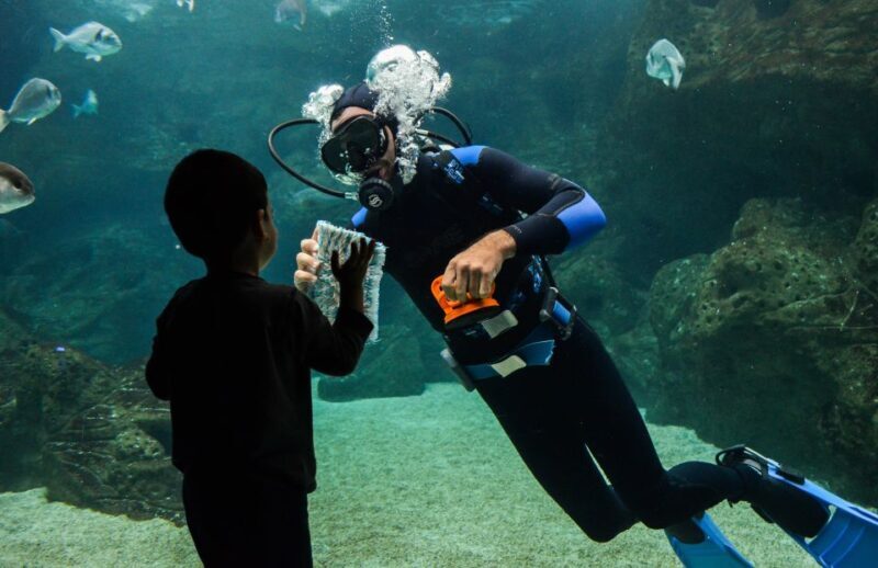 Heraklion: Heraklion Market & CretAquarium *SKIP The Line - The Practicalities: What to Know Before Booking