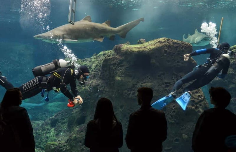 Heraklion: Heraklion Market & CretAquarium *SKIP The Line - FAQs: Practical Questions About the Tour