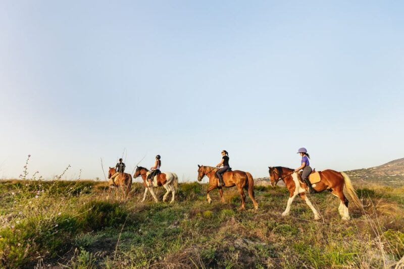 Heraklion: Horse Ride in the Cretan Mountains - Key Points