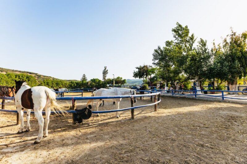 Heraklion: Horse Ride in the Cretan Mountains - Who Will Love This Tour?
