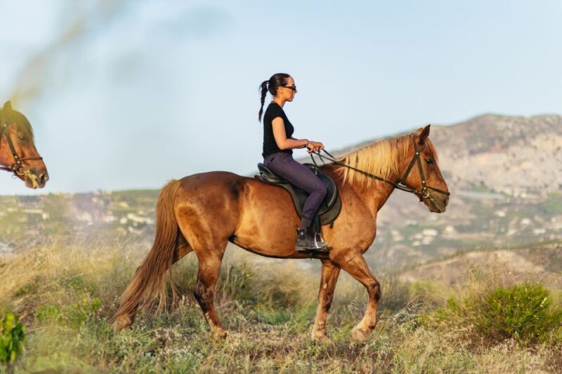 Heraklion: Horse Ride in the Cretan Mountains - The Sum Up: Why Choose This Horse Ride?