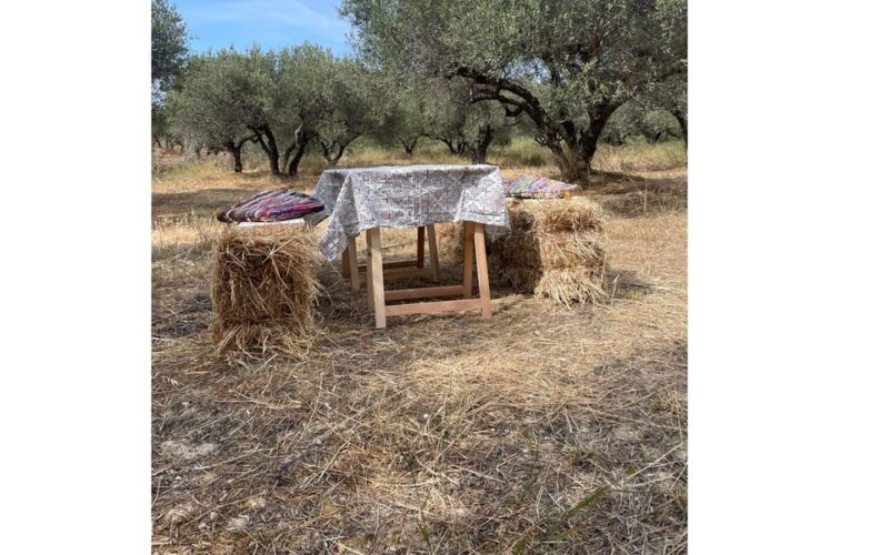 Heraklion :Olive & Dragon Farm Tour & Cretan Farmers Brunch - The Sum Up
