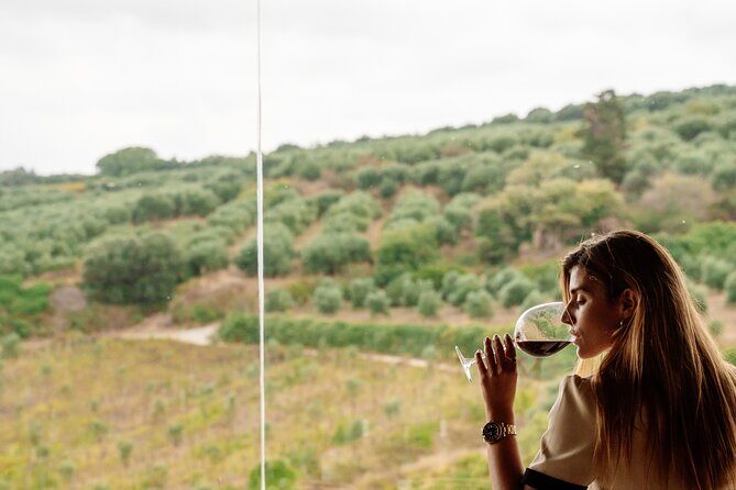 Heraklion Private Half-Day Gastronomy Diaries Experience in Lyrarakis Winery - Final Thoughts: Is This Tour for You?