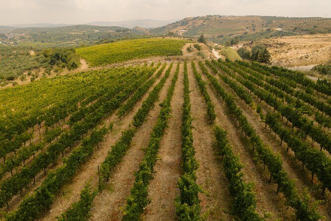Heraklion Private Half-Day Gastronomy Diaries Experience in Lyrarakis Winery - Frequently Asked Questions