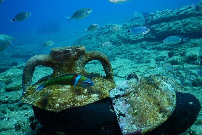 Heraklion: Scuba Diving Experience for Beginners - An Authentic Crete Experience: What to Expect