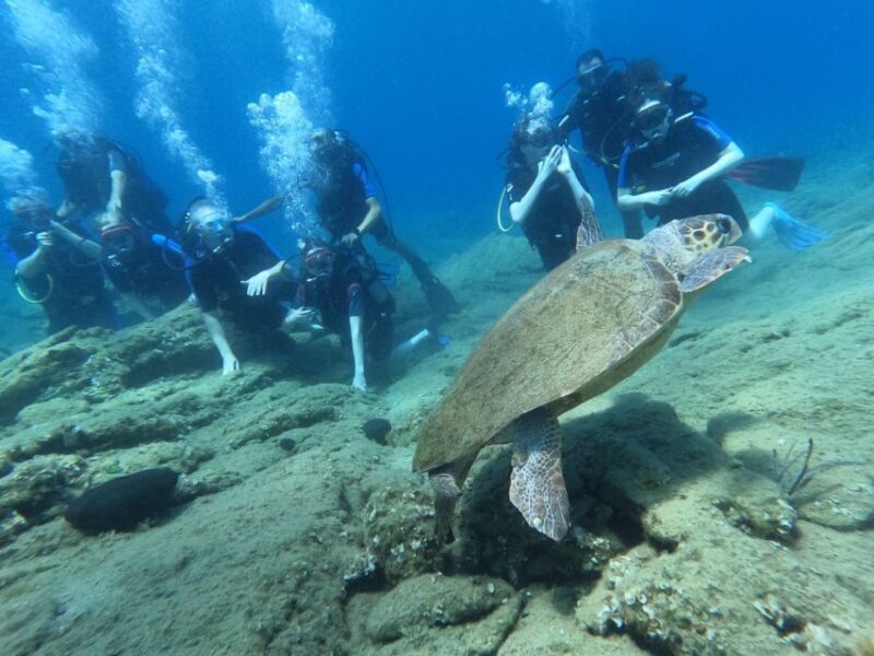 Heraklion: Scuba Diving Experience for Beginners - The Reviews Speak for Themselves