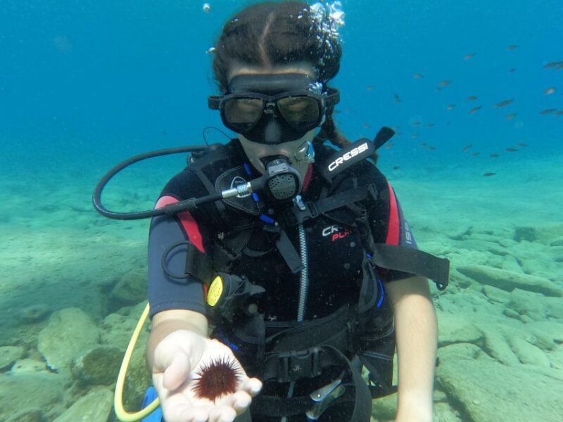 Heraklion: Scuba Diving Experience for Beginners - Who Will Love This Experience?
