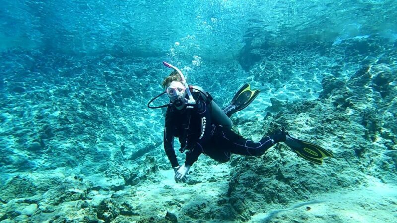Heraklion: Scuba Diving trip for certified divers - The Underwater Adventure: The Byron I Wreck