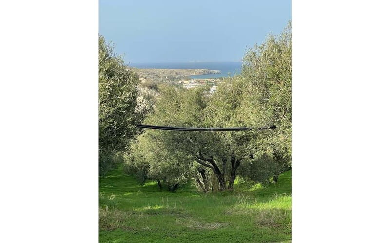 Heraklion: Sunset BBQ in the Olive Grove - Frequently Asked Questions