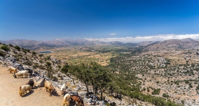 Heraklion: Sunset Safari with Dinner & Prosecco - Mountain Passes and Wildlife