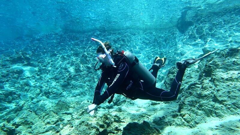 Heraklion: Try Scuba Diving For Beginners (1 dive) - The Value of This Experience