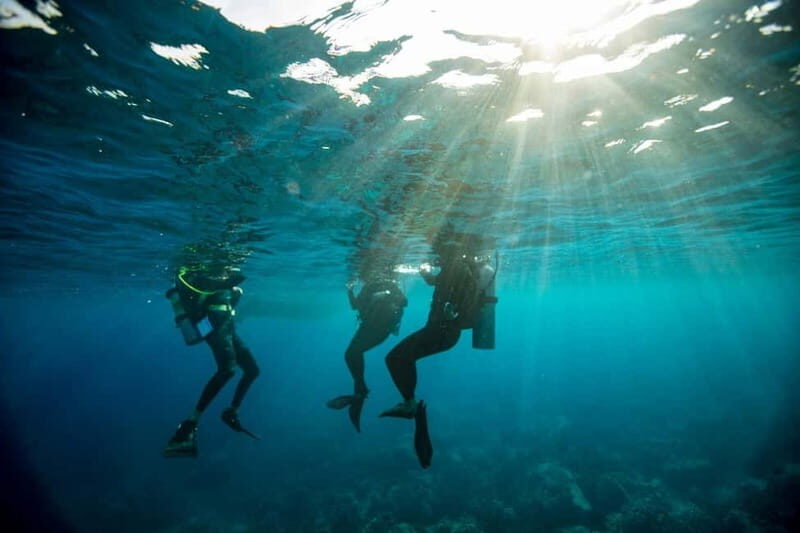 Heraklion: Try Scuba Diving - The Experiences Value and Suitability