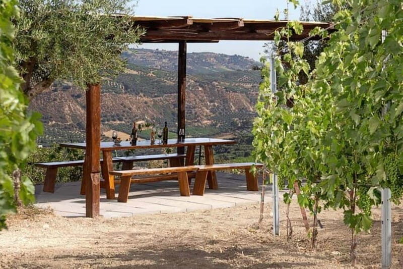 HERAKLION: Wine tasting at Douloufakis Vineyards ARISMARI - Key Points
