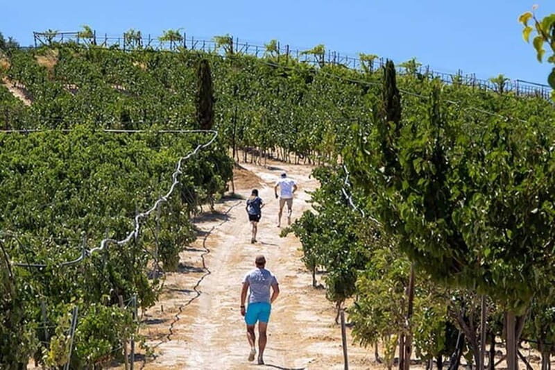 HERAKLION: Wine tasting at Douloufakis Vineyards ARISMARI - An In-Depth Look at the Douloufakis Vineyards Experience