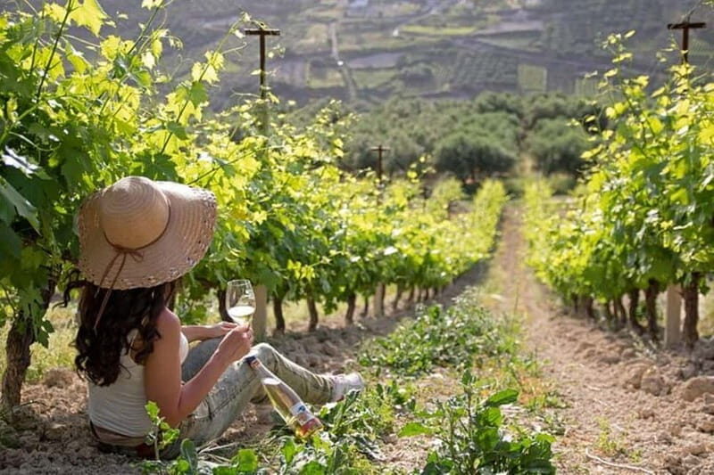 HERAKLION: Wine tasting at Douloufakis Vineyards ARISMARI - Who Will Enjoy This Tour?