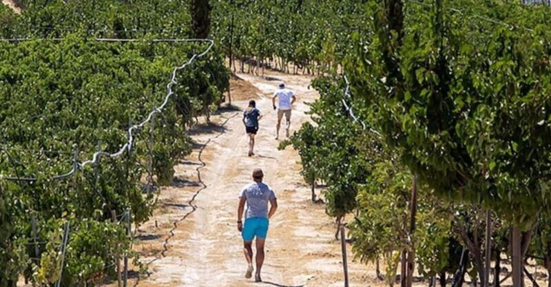 HERAKLION: Wine tasting at Douloufakis Vineyards ARISMARI - FAQ