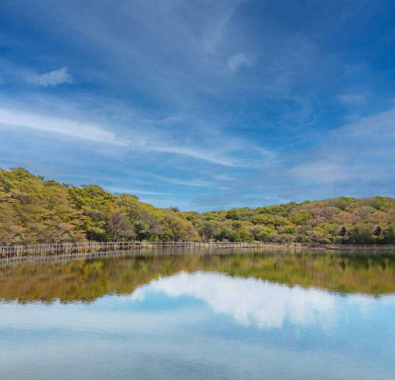 Herb Island : Sanjung Lake : Strawberry : Bidulginang Tour - What Travelers Say