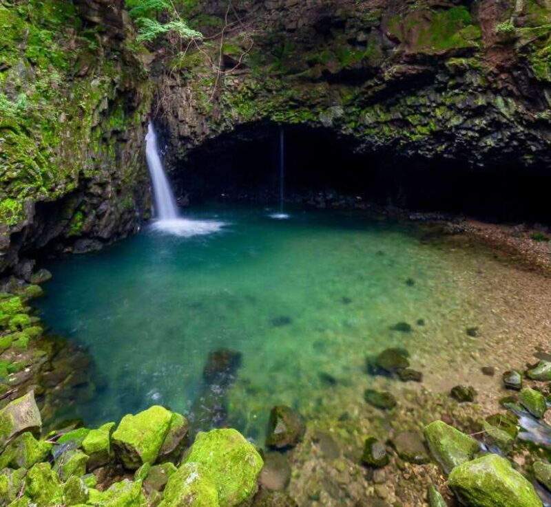 Herb Island : Sanjung Lake : Strawberry : Bidulginang Tour - The Value of This Tour