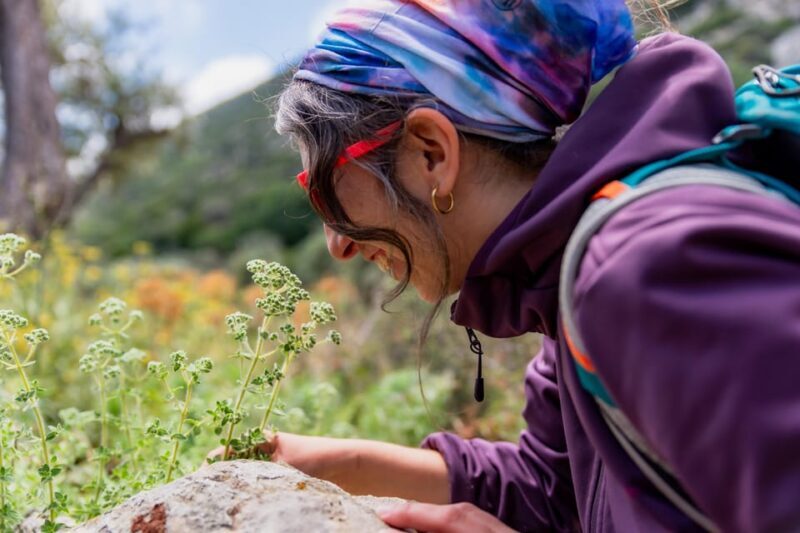 Herbalism and Wildlife (Small group experience) - Exploring the "Herbalism and Wildlife" Small Group Experience in Greece