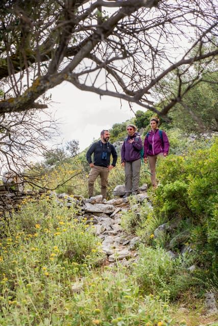 Herbalism and Wildlife (Small group experience) - Authentic Reviews and Insights