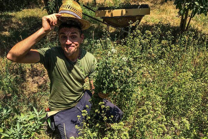 HERBS LAB - from plant to glass - An immersive journey into Puglia’s herbal world