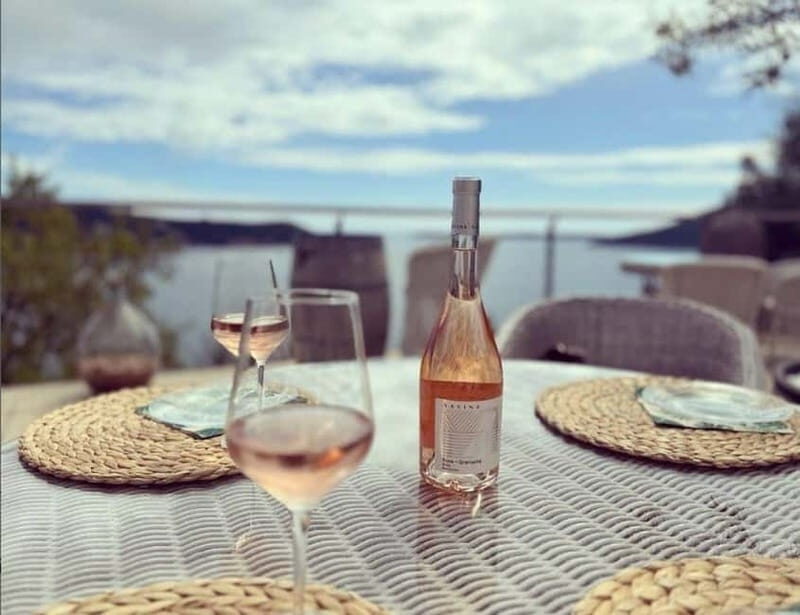 Herceg Novi: Old Timer Tour & Wine Tasting Charms - The Heart of the Tour: Wine Tasting with Panoramic Views