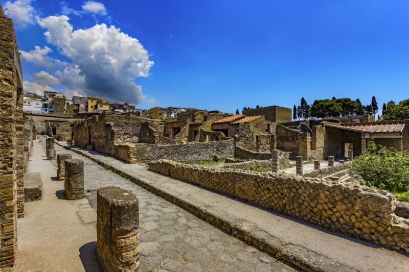 Herculaneum 2-Hour Private Guided Tour - FAQ