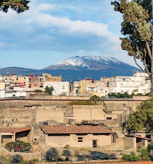 Herculaneum: 2H Private Tour - Key Points