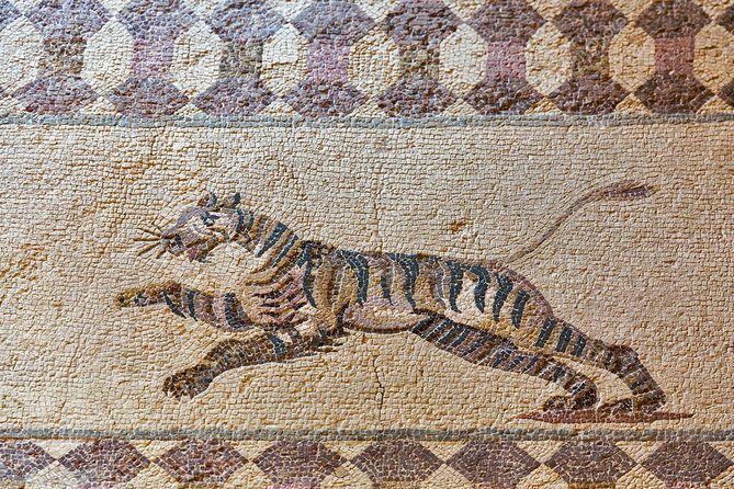 Herculaneum and the Archeological Museum of Naples Private Tour from Rome - An In-Depth Look at the Experience