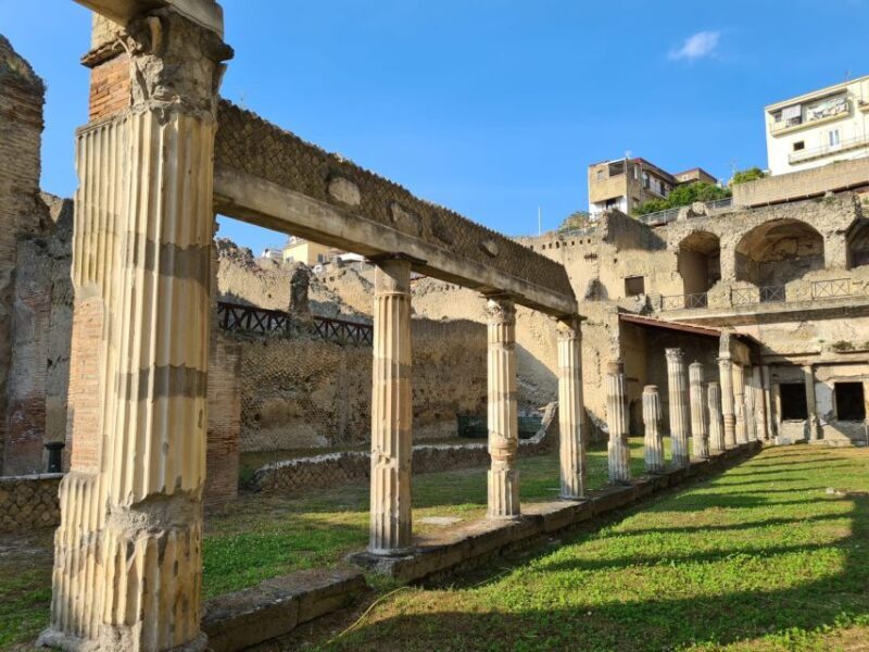 Herculaneum Archaeological Park smart Audio Tour - Who Will Love This Tour?