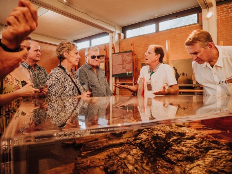 Herculaneum: Private Walking Tour with Archeologist Guide - Cost, Duration, and Overall Value
