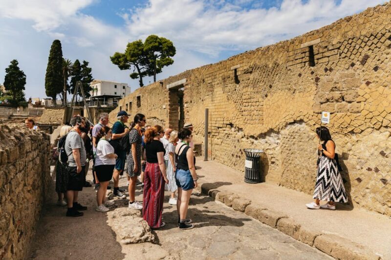 Herculaneum: Skip-the-Line Guided Tour with Archaeologist - Who Will Love This Tour?