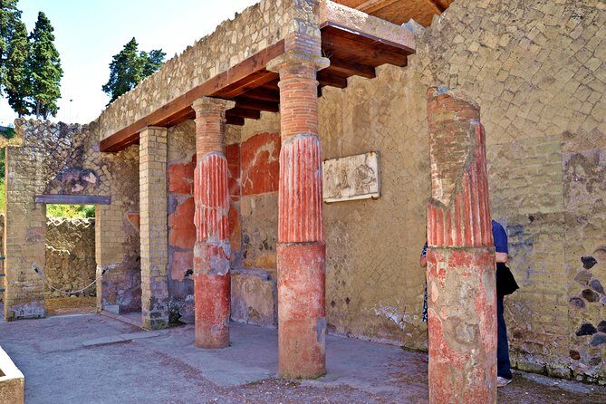Herculaneum small group tour with an archaeologist - skip the line - Key Points