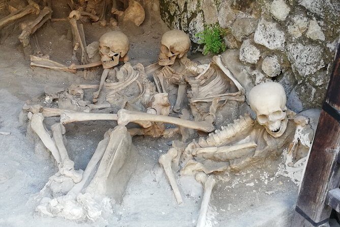 Herculaneum walking tour - What to Expect from the Herculaneum Walking Tour