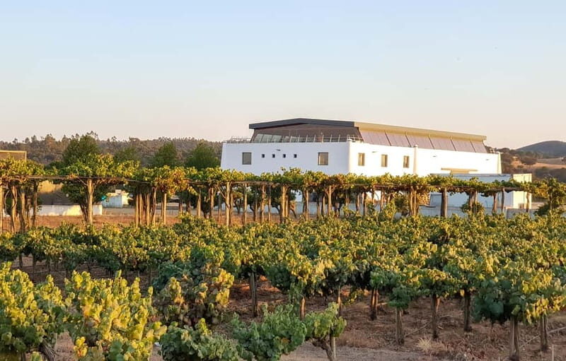 Herdade Canal Caveira - Visit Winery & Picnic - In-Depth Look at the Itinerary and Experience