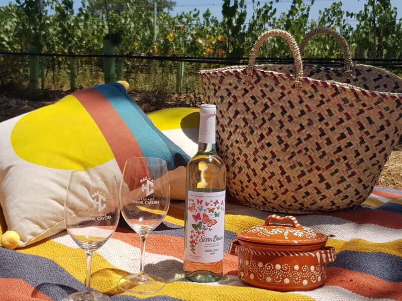 Herdade Canal Caveira - Visit Winery & Picnic - Who Should Consider This Tour?